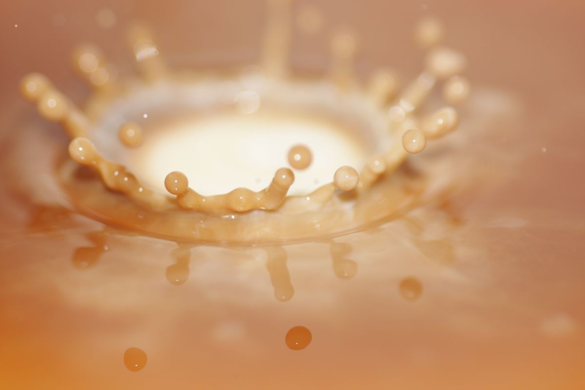 coffee crown_5456.JPG | GANREF