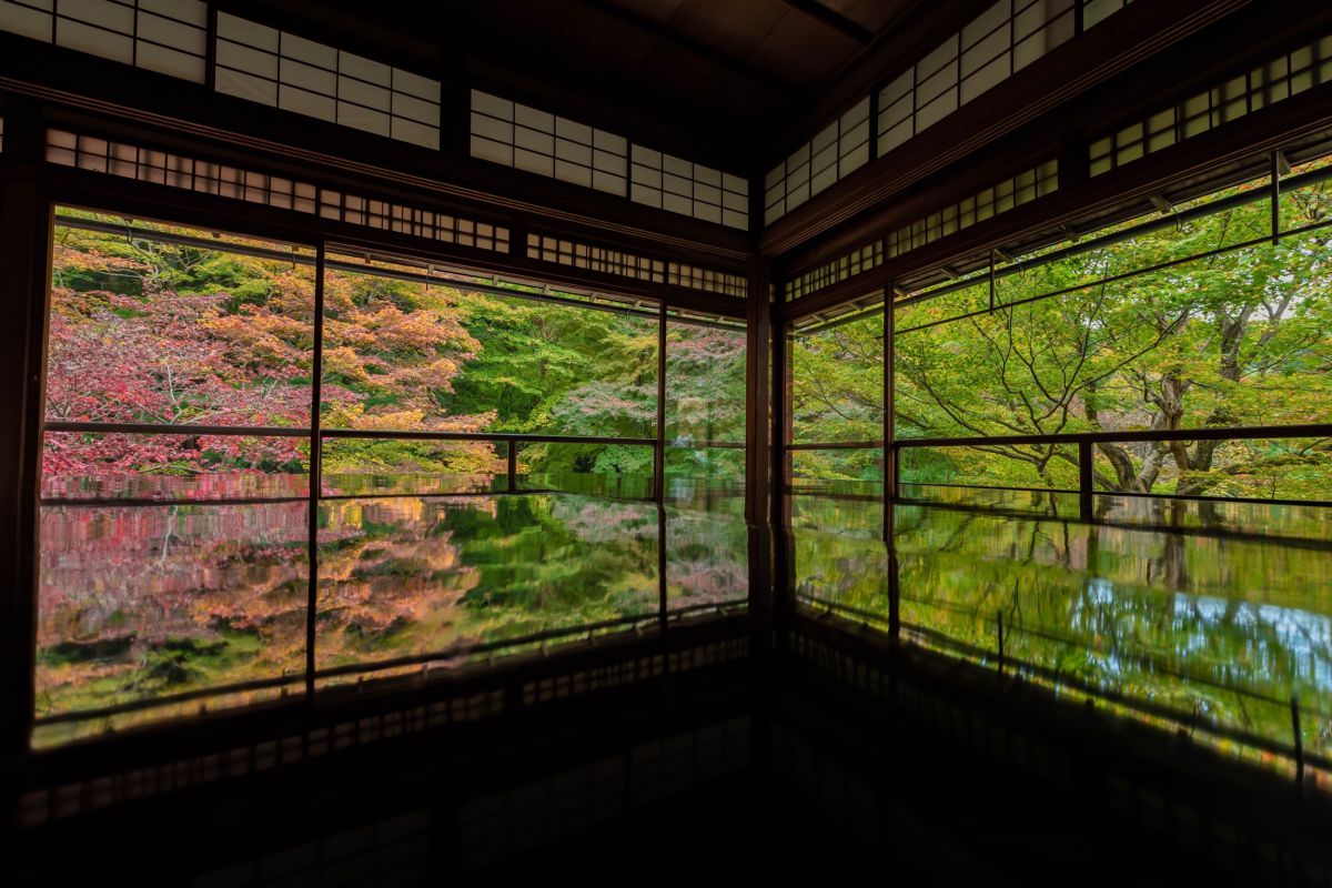 14mmのセカイ | GANREF