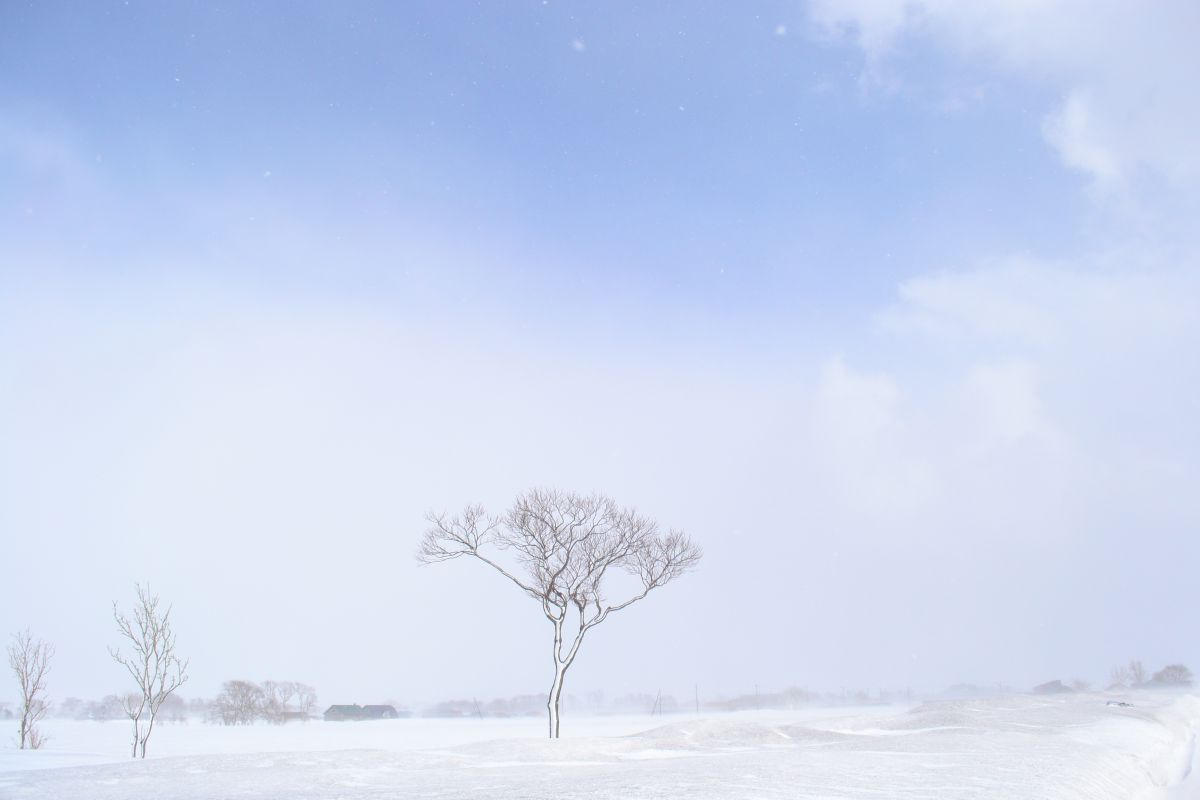 After a storm 。。。 | GANREF