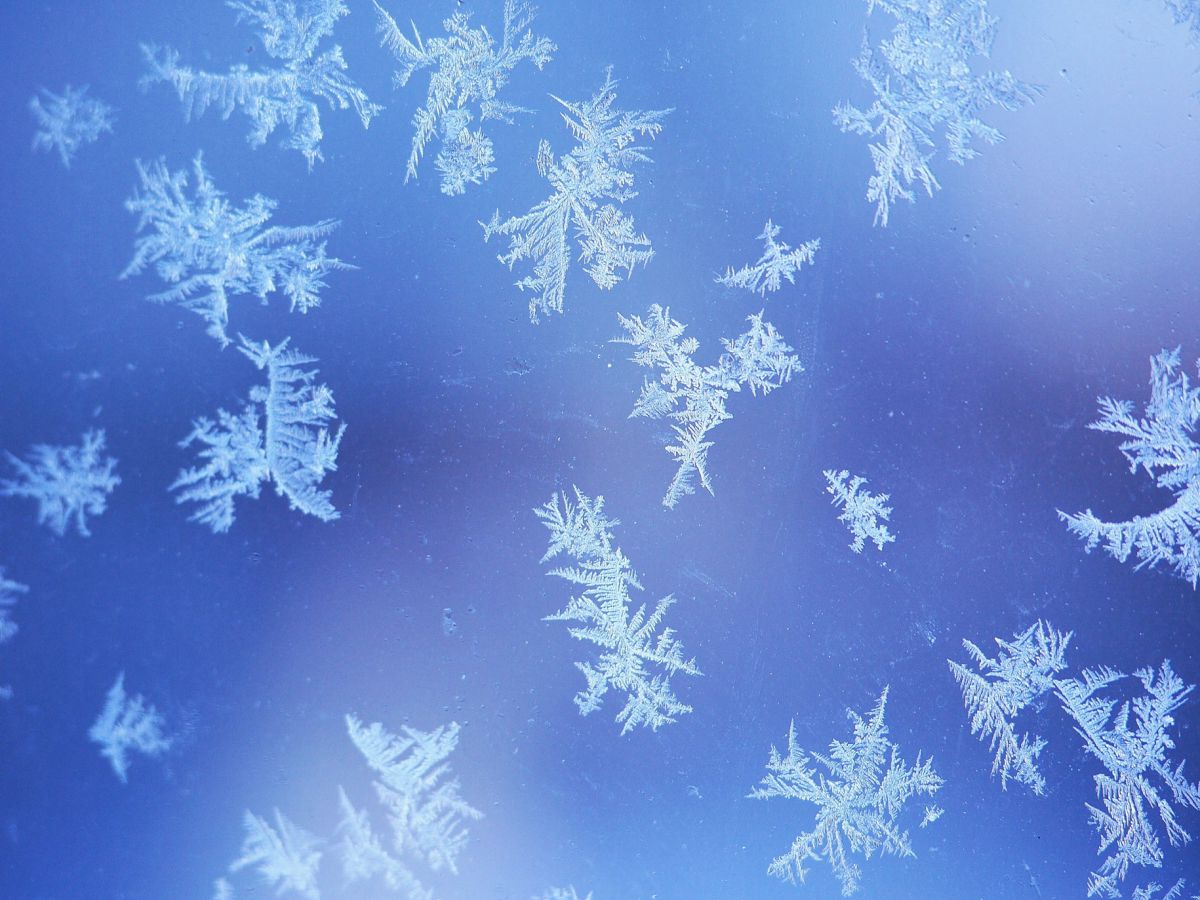 冬の妖精達 | GANREF