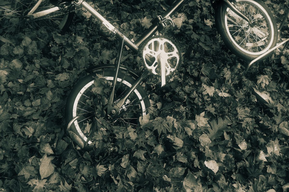 time goes by | GANREF