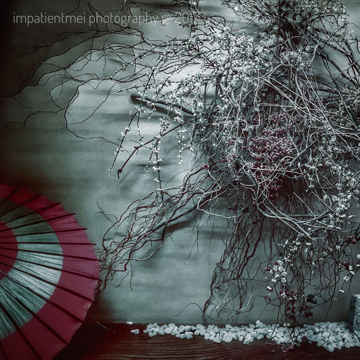 Japan Beauty | GANREF