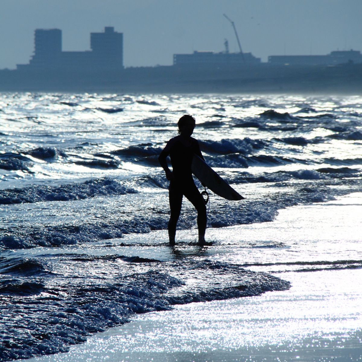 Shining sea | GANREF