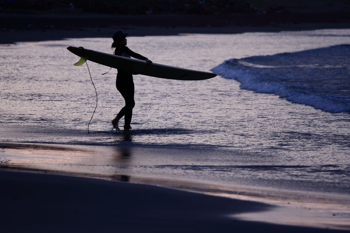 Twilight surfer | GANREF