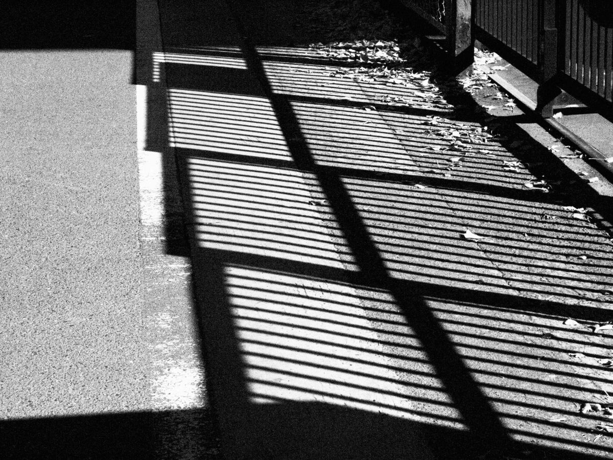 Shadow picture9 | GANREF