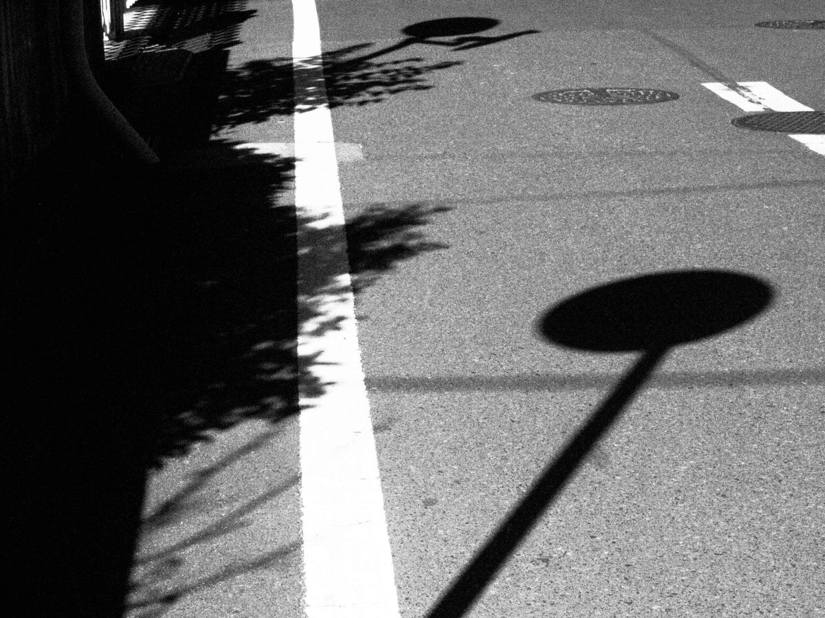 Shadow picture2 | GANREF