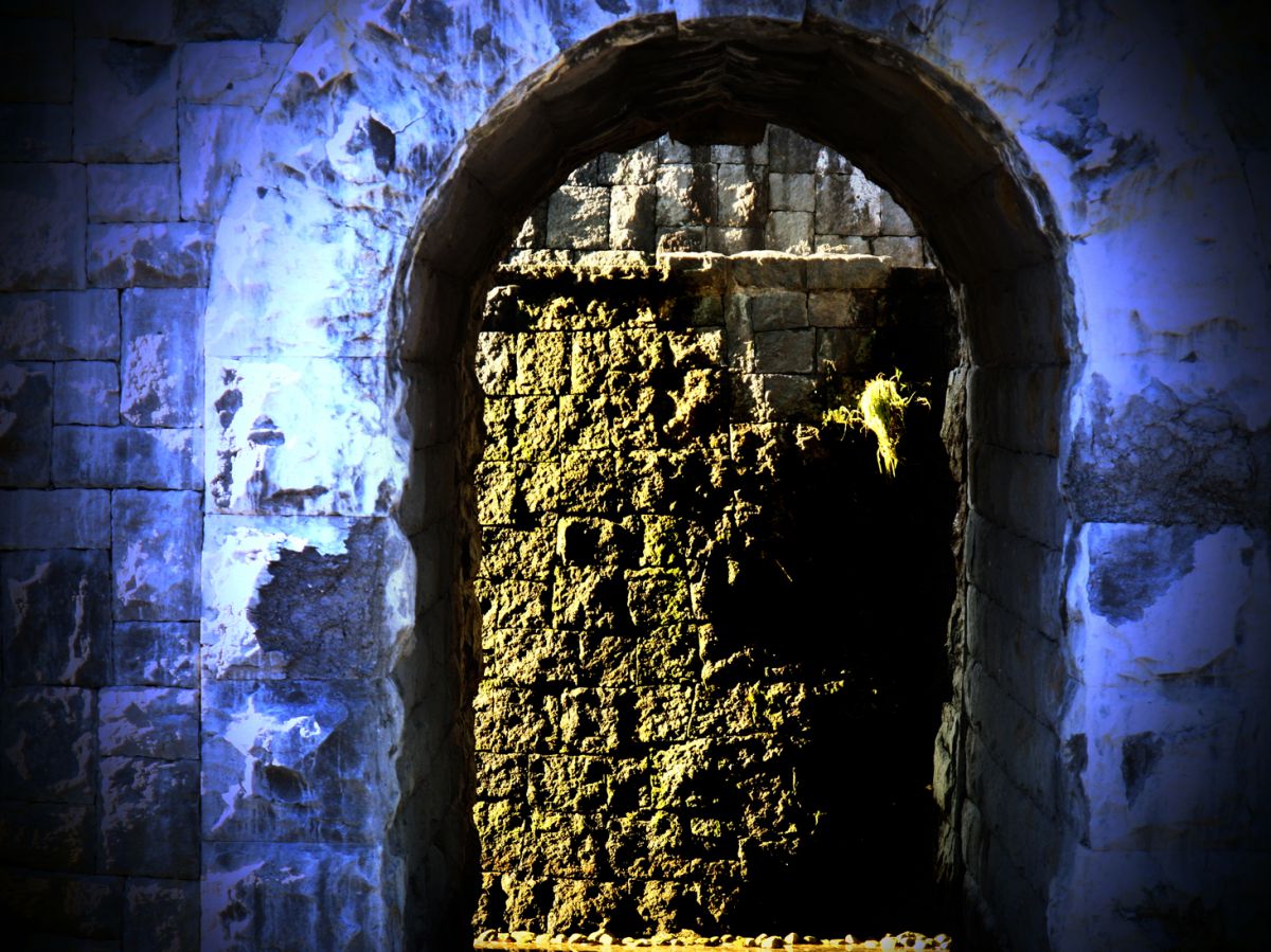 Different space | GANREF