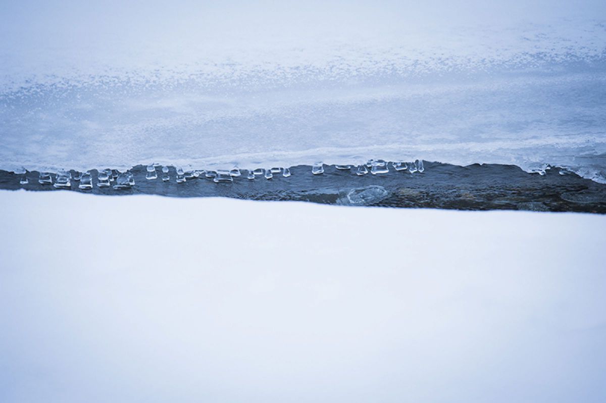 Cold Morning | GANREF