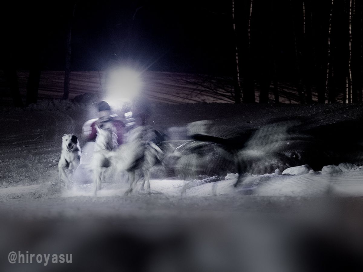 RUNNER OF DARKNESS | GANREF