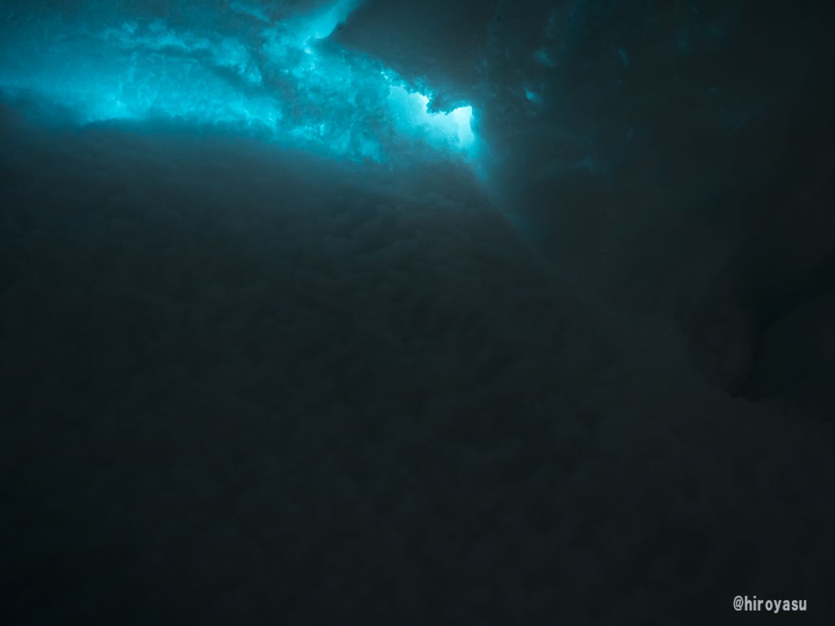 Deep color3110012 | GANREF