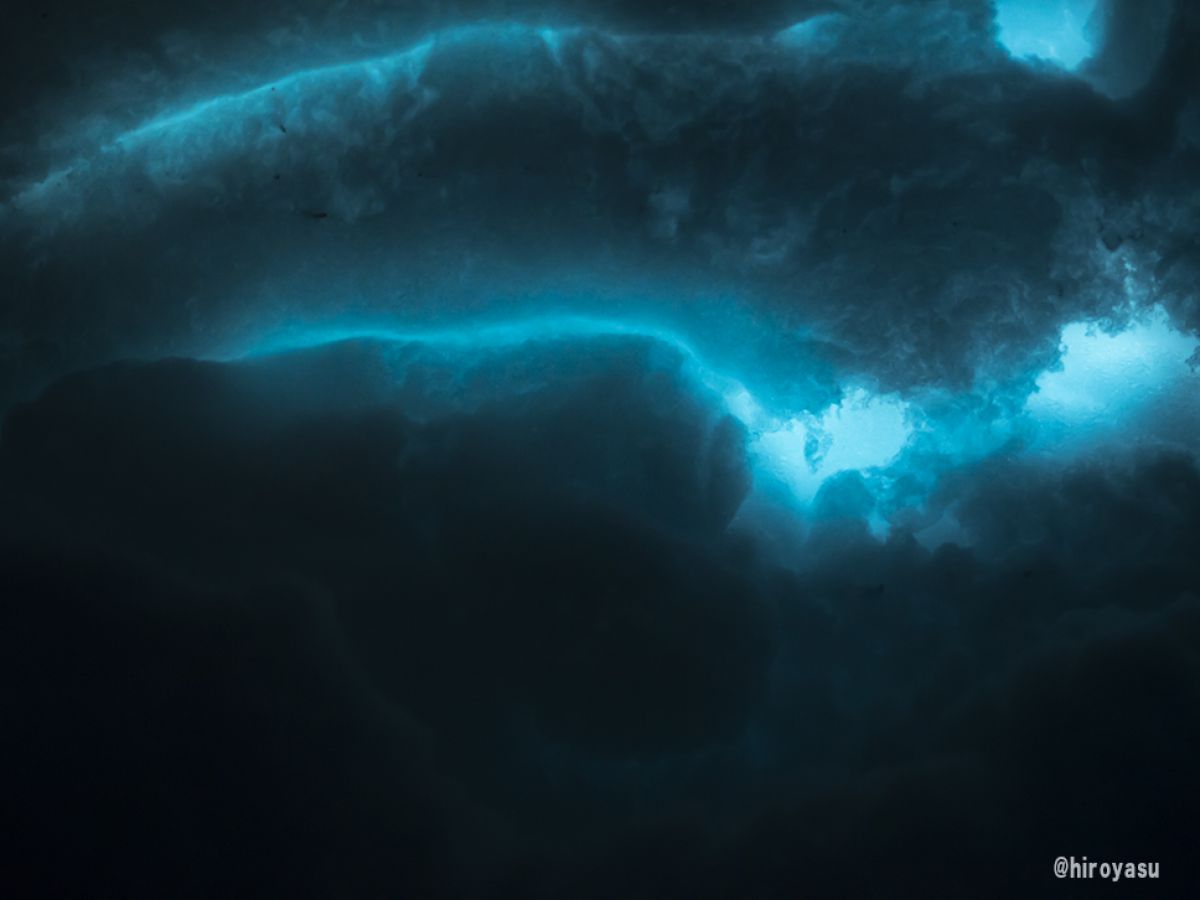 Deep color3110004 | GANREF