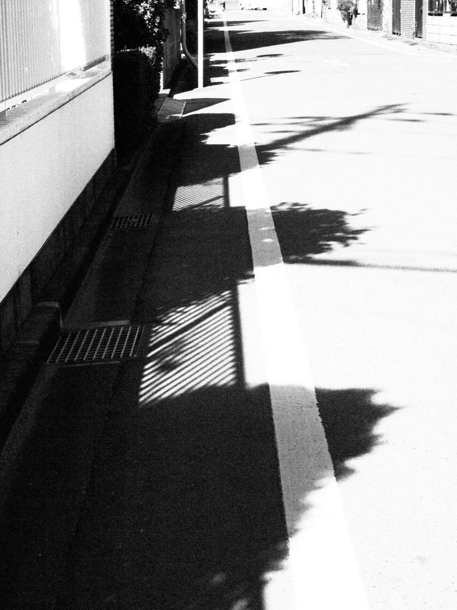 Shadow picture1 | GANREF