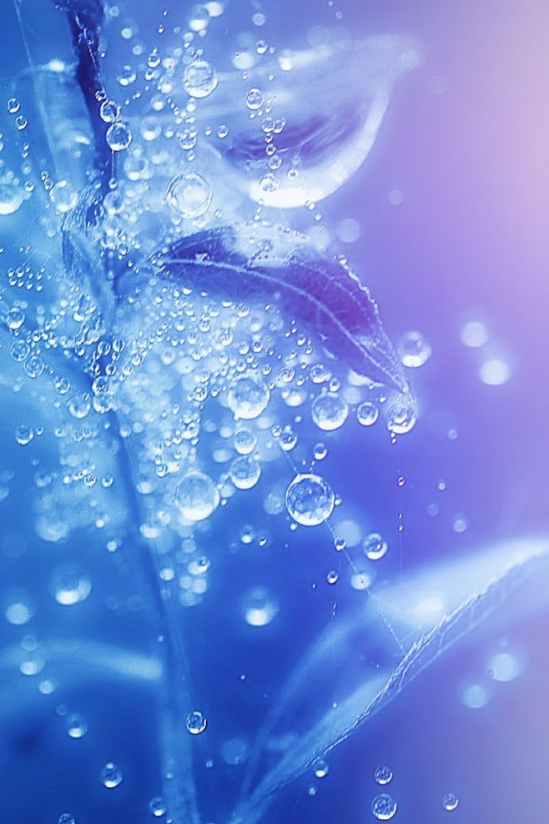 キラキラRaindrops☆.。.:*・゜ | GANREF