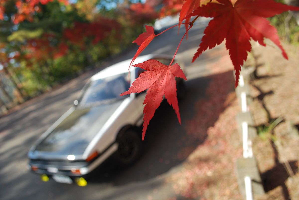 紅葉 | GANREF