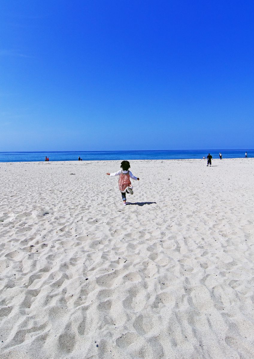 「DASH！！」 | GANREF