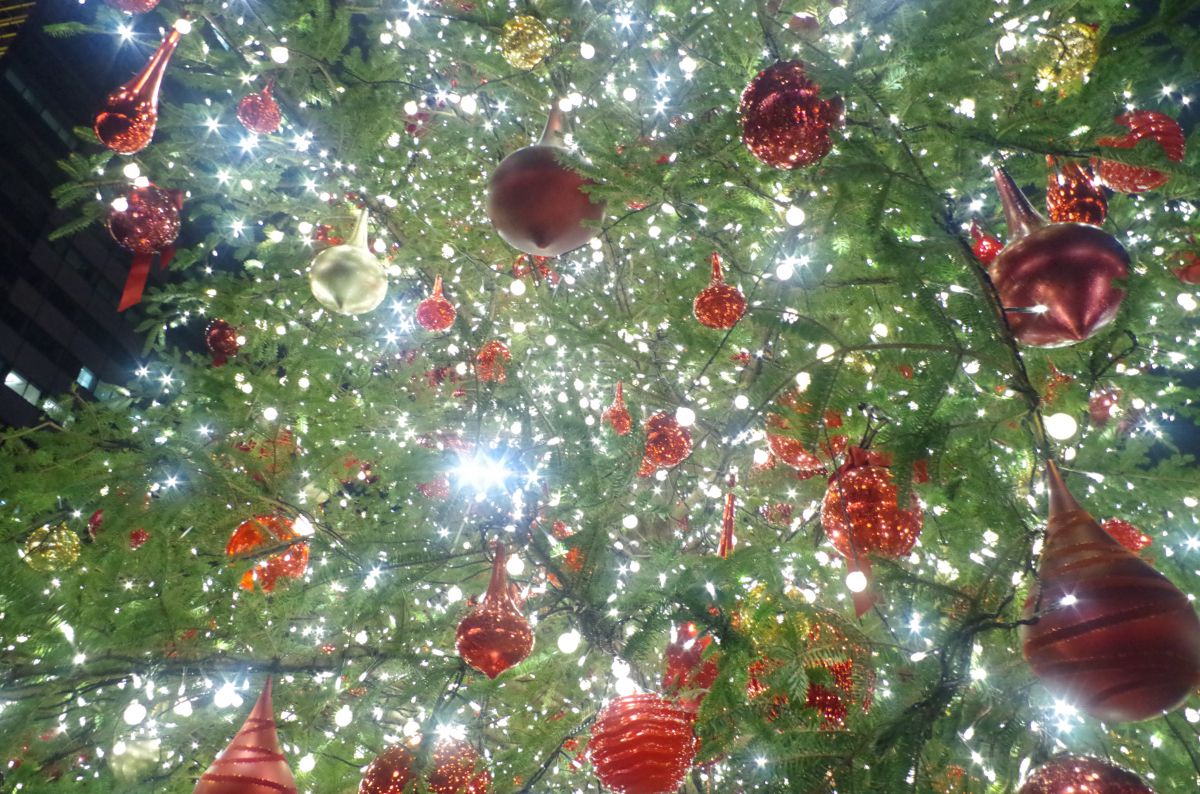 Christmas Brightness | GANREF