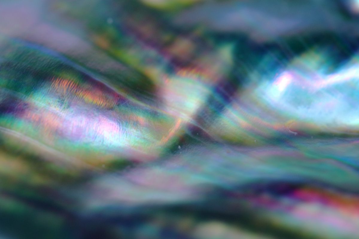 Rainbow stream | GANREF