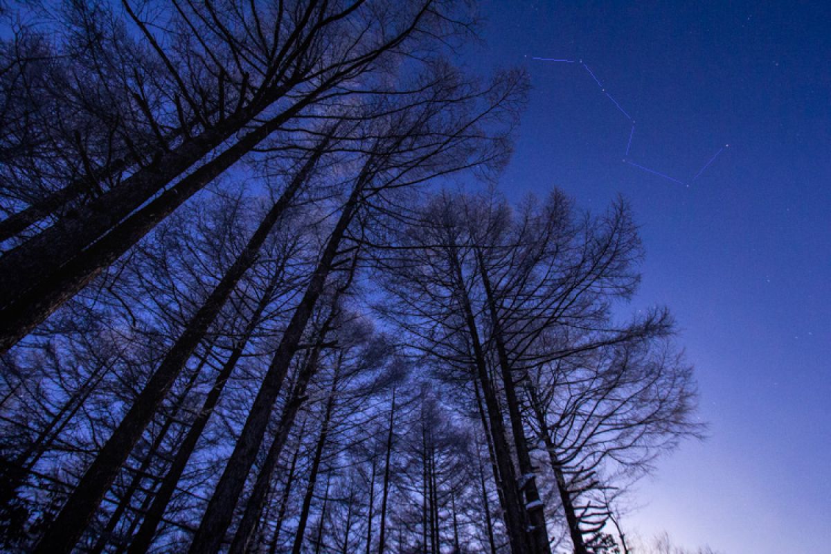 夜明けの空たかく・・ | GANREF