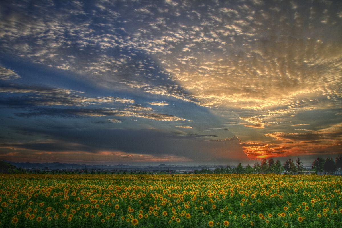 盛夏夕暮HDR | GANREF