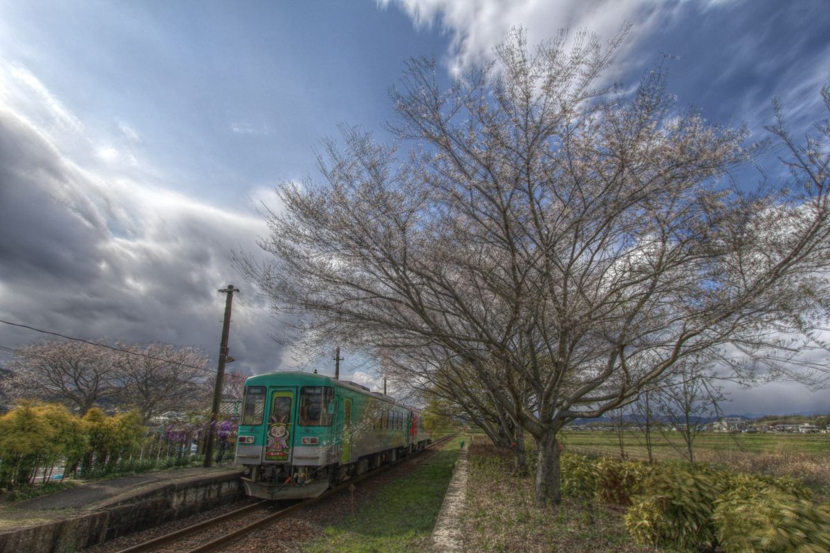 桜樹電鉄HDR | GANREF
