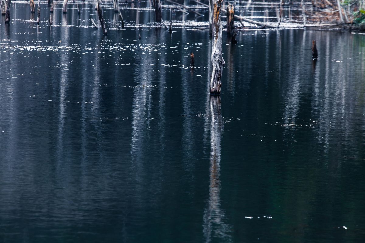 Blur （滲み） | GANREF