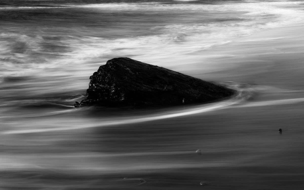 Drifting ashore | GANREF