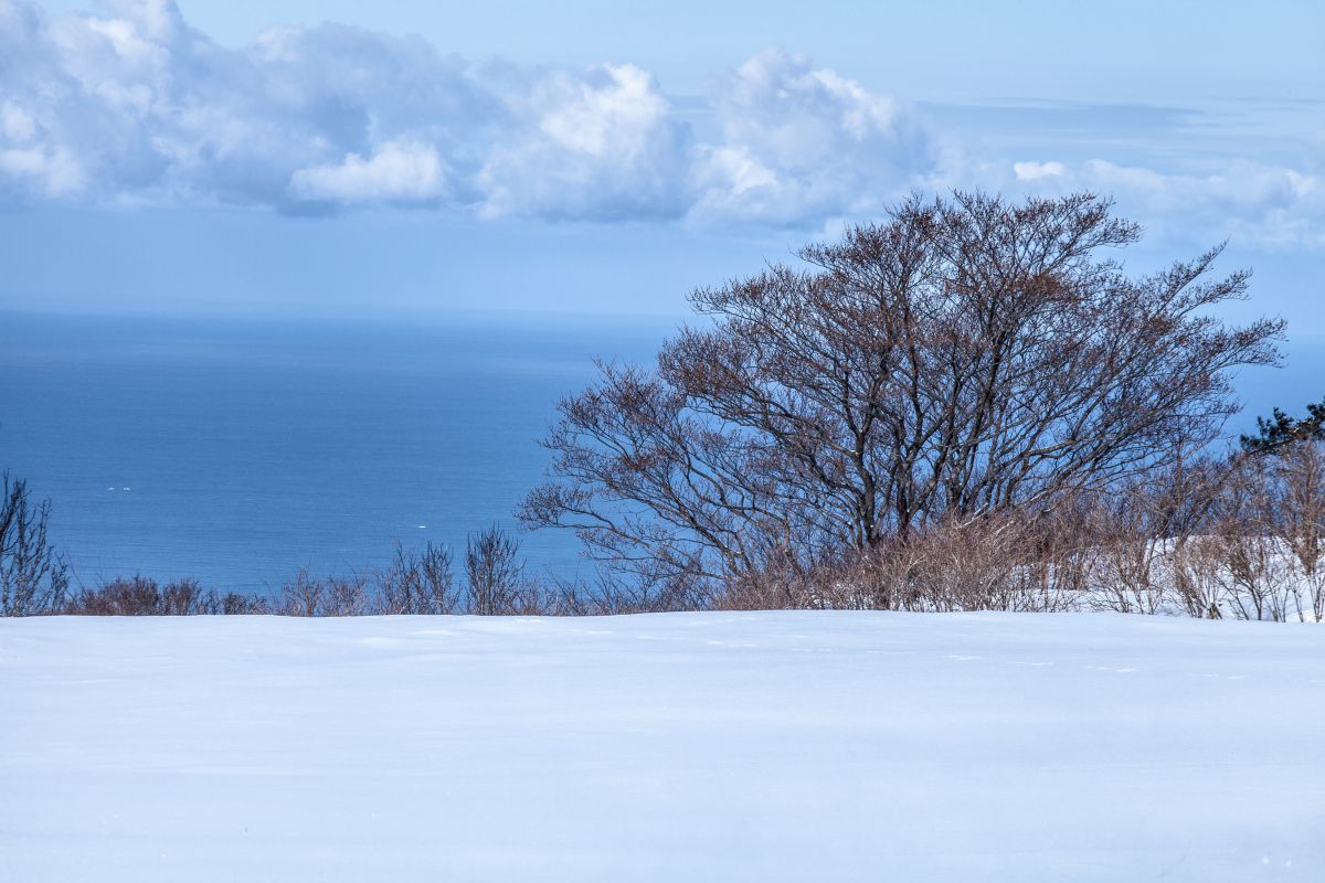 Refreshing ～ 高原より | GANREF
