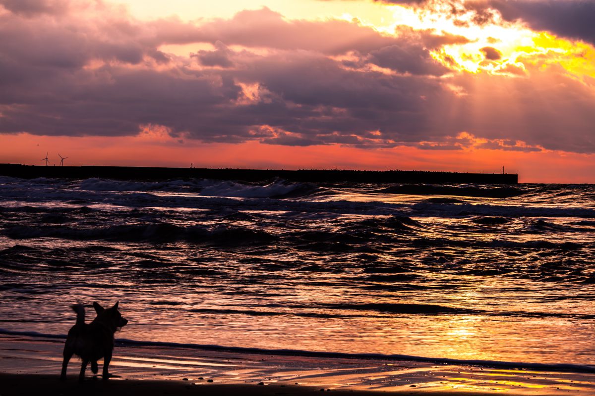 Evening comes | GANREF