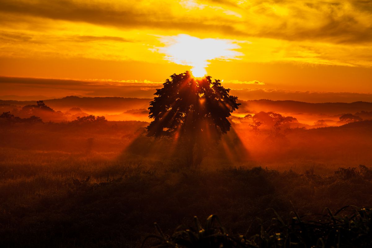 Good morning ～ 冬師 Vr.Ⅲ | GANREF