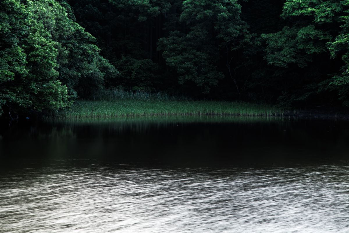 Green Stage | GANREF