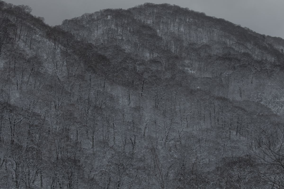 Monochrome gradation | GANREF