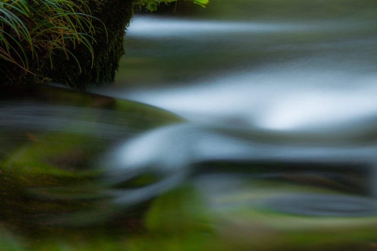 Green Stream ＆ White Wave | GANREF