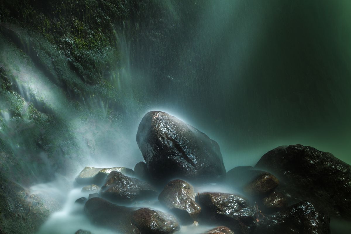 Summer spotlight | GANREF