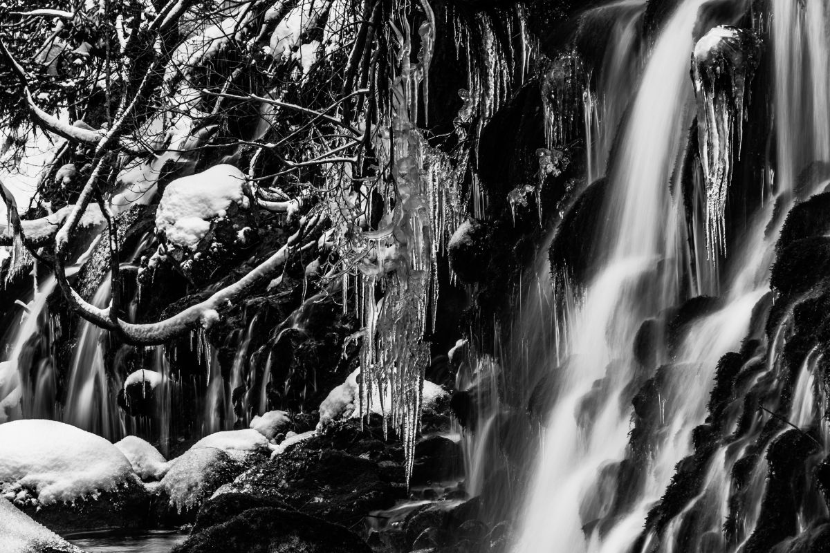 Monochrome winter | GANREF