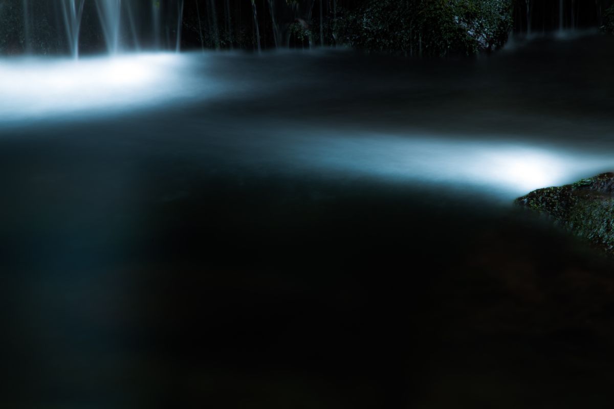 Motion and stillness | GANREF