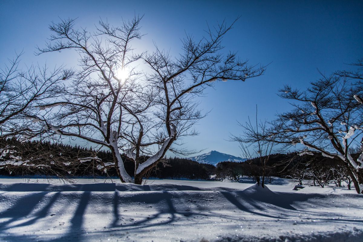 Cherry dancing | GANREF