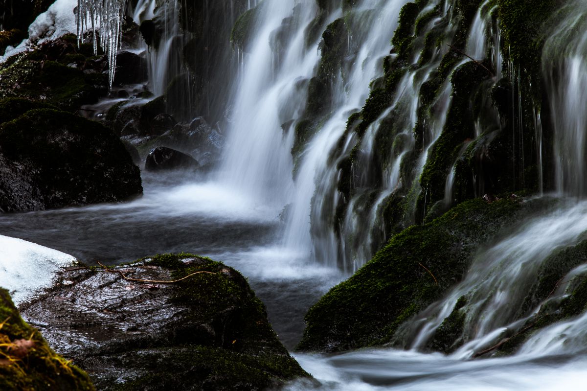 Winter tusk | GANREF
