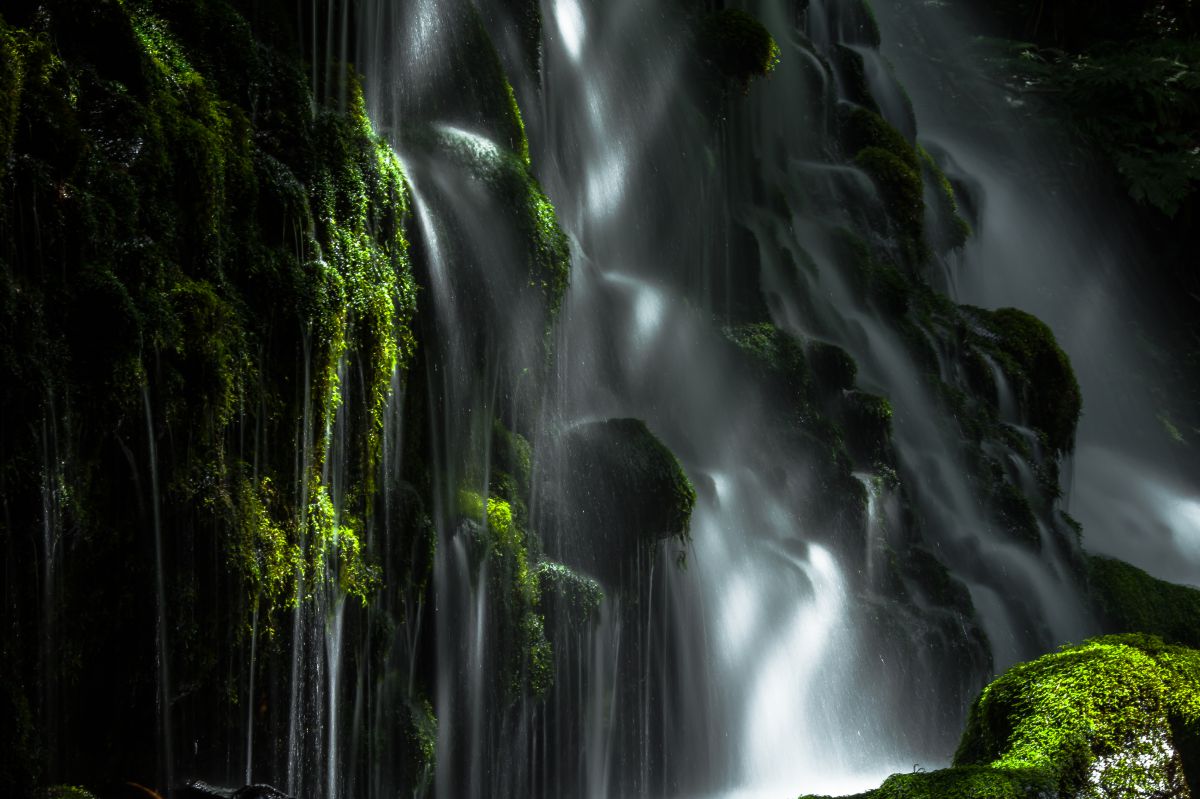 Green moss / slanting rays of light | GANREF