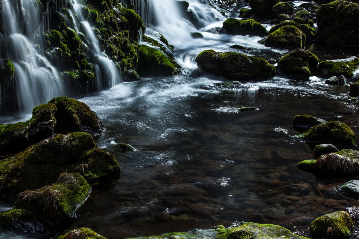 Spring light | GANREF