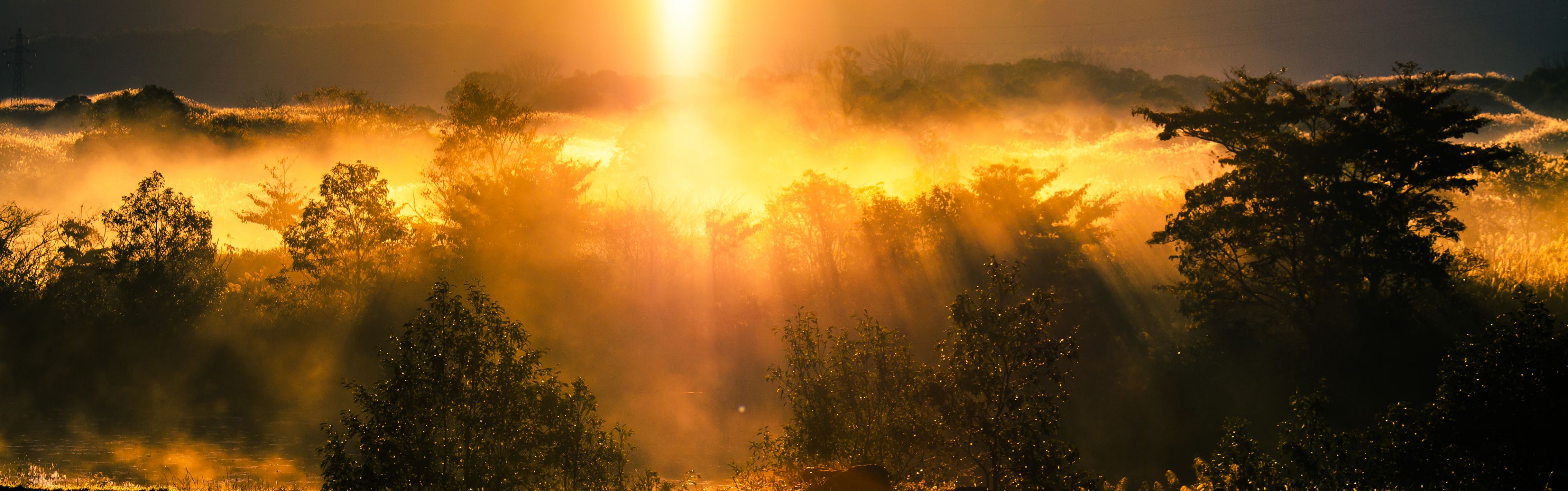 Morning mist | GANREF