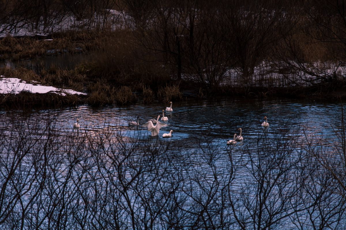 も～にんぐしょっとの ご・あ・い・さ・つ | GANREF