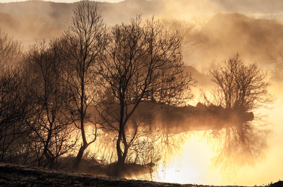 Fire ～ ‼ （ファイア～） | GANREF