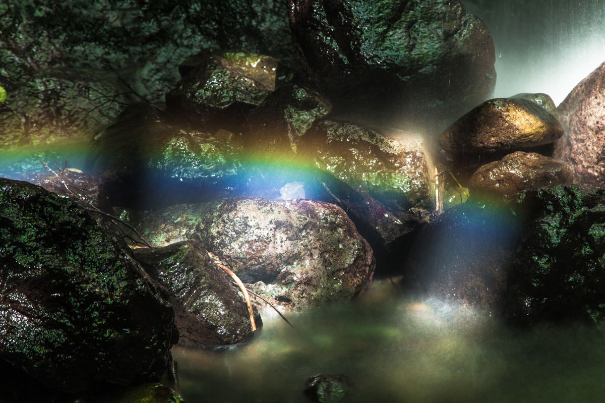 Light and Rainbow | GANREF