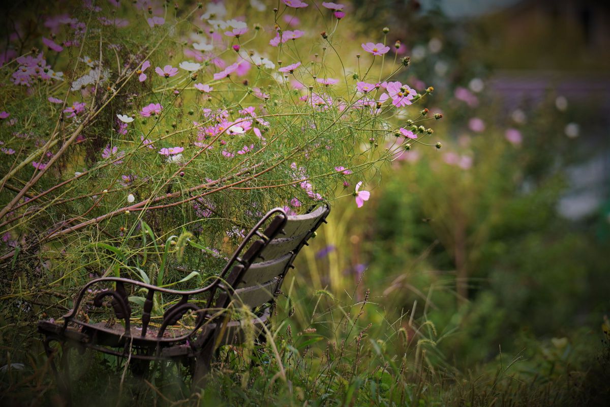 里山の小径-03 | GANREF