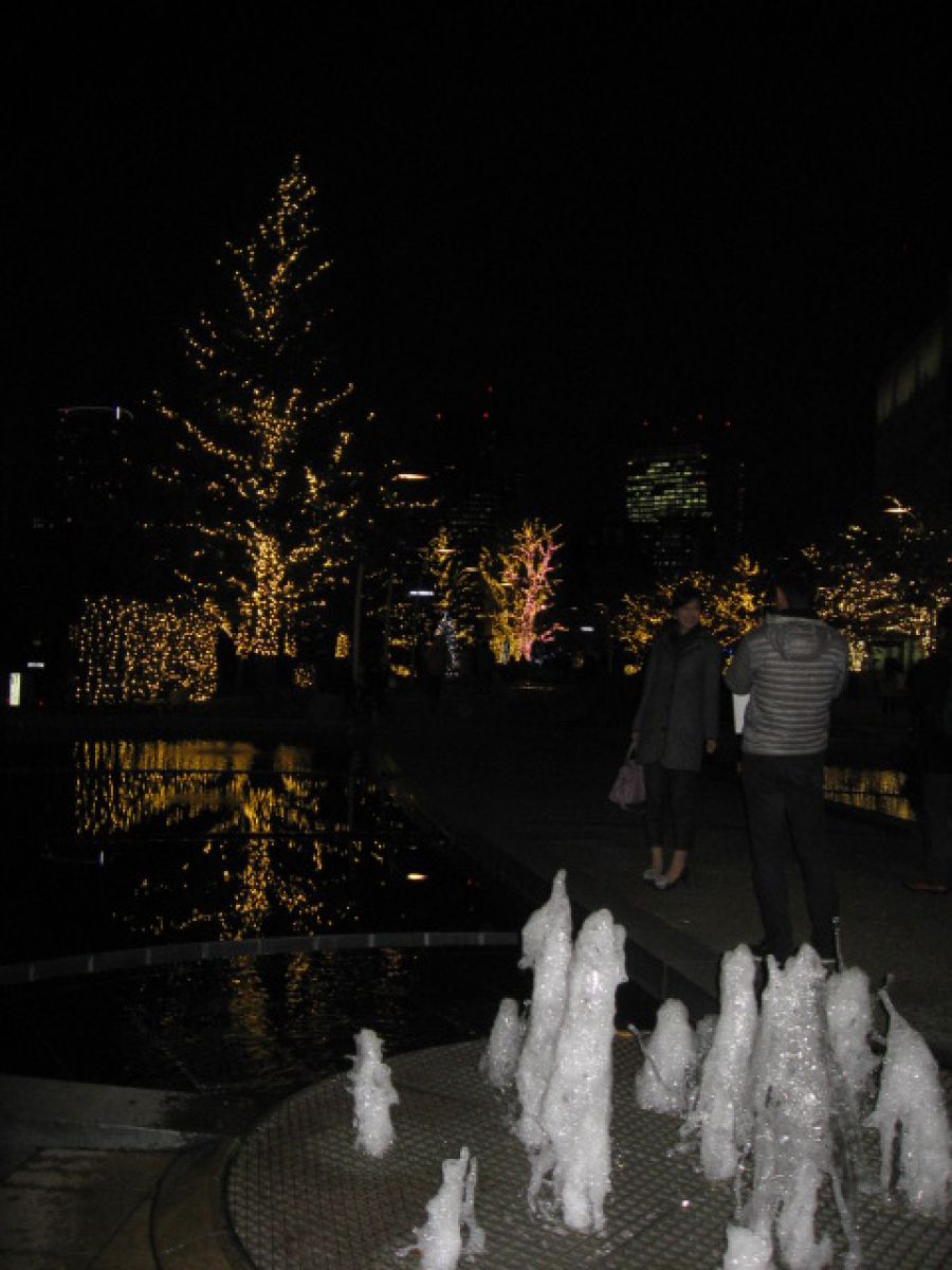 Park to shine in winter | GANREF