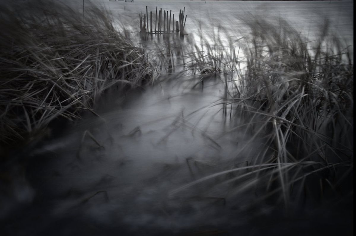 Blow'in in the Wind | GANREF