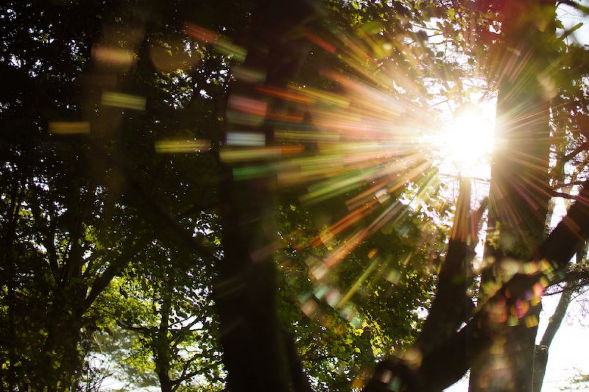 希望の光 | GANREF