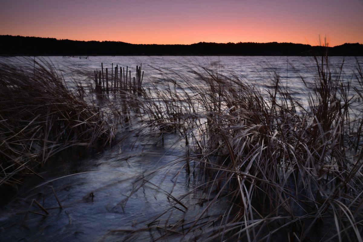 暮れゆく刻 | GANREF