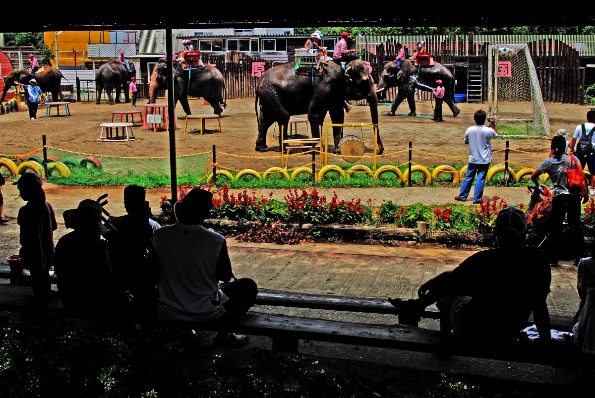 晴天の行楽 | GANREF