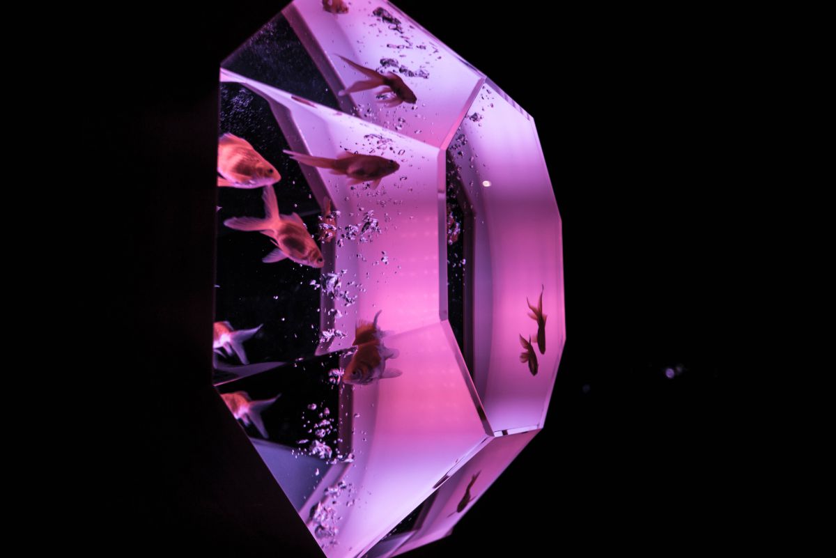 Parallel World | GANREF